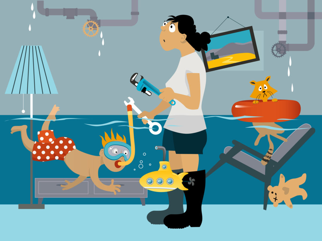 Flood Protection Measure Against Natural and Indoor Flooding